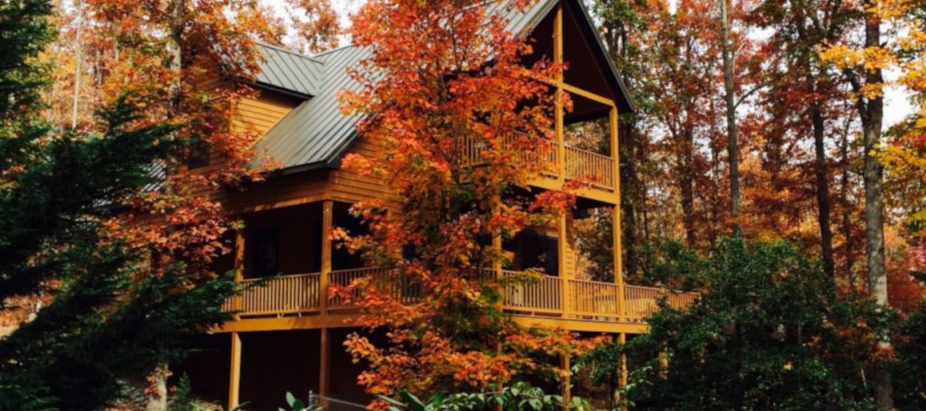 Brevard NC Cabin Rentals + Dog Friendly Vacations | DogWoods Retreat – Dog friendly Vacation ...